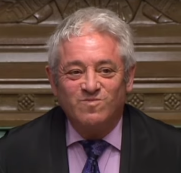 Bercow was never fit to be Speaker, and MPs must shoulder a share of ...