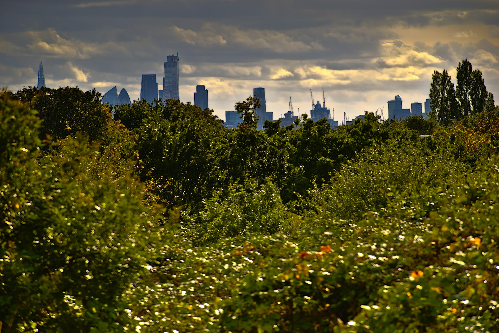 Emma Best: If people don’t trust you to report their missed bin ...